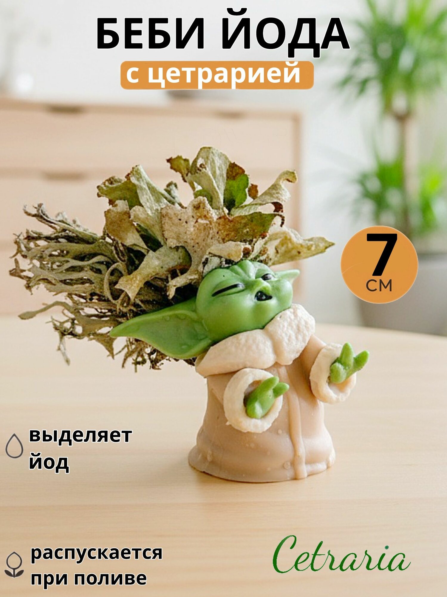 Статуэтка Грогу Поющий малыш с живой прической из цетрарии