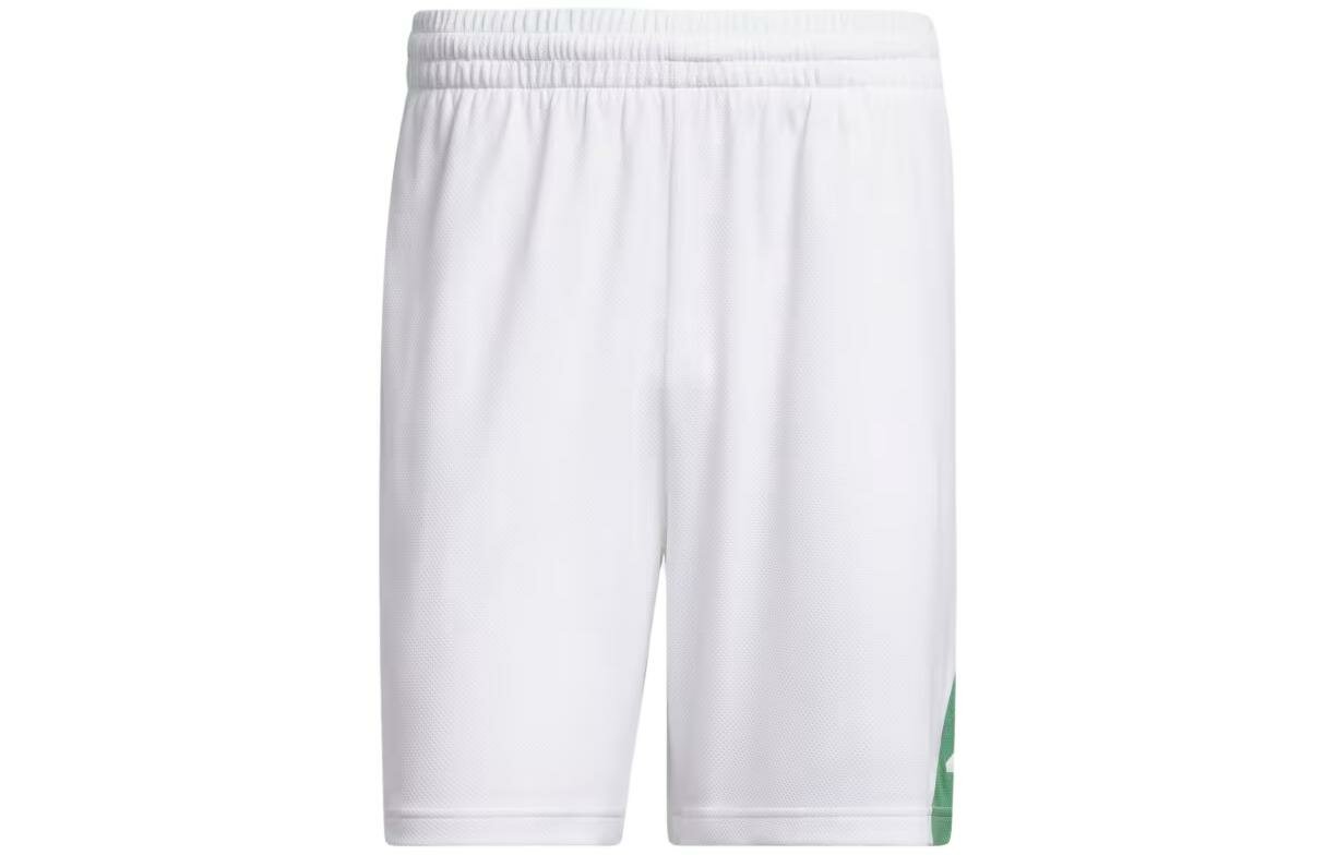 Шорты спортивные