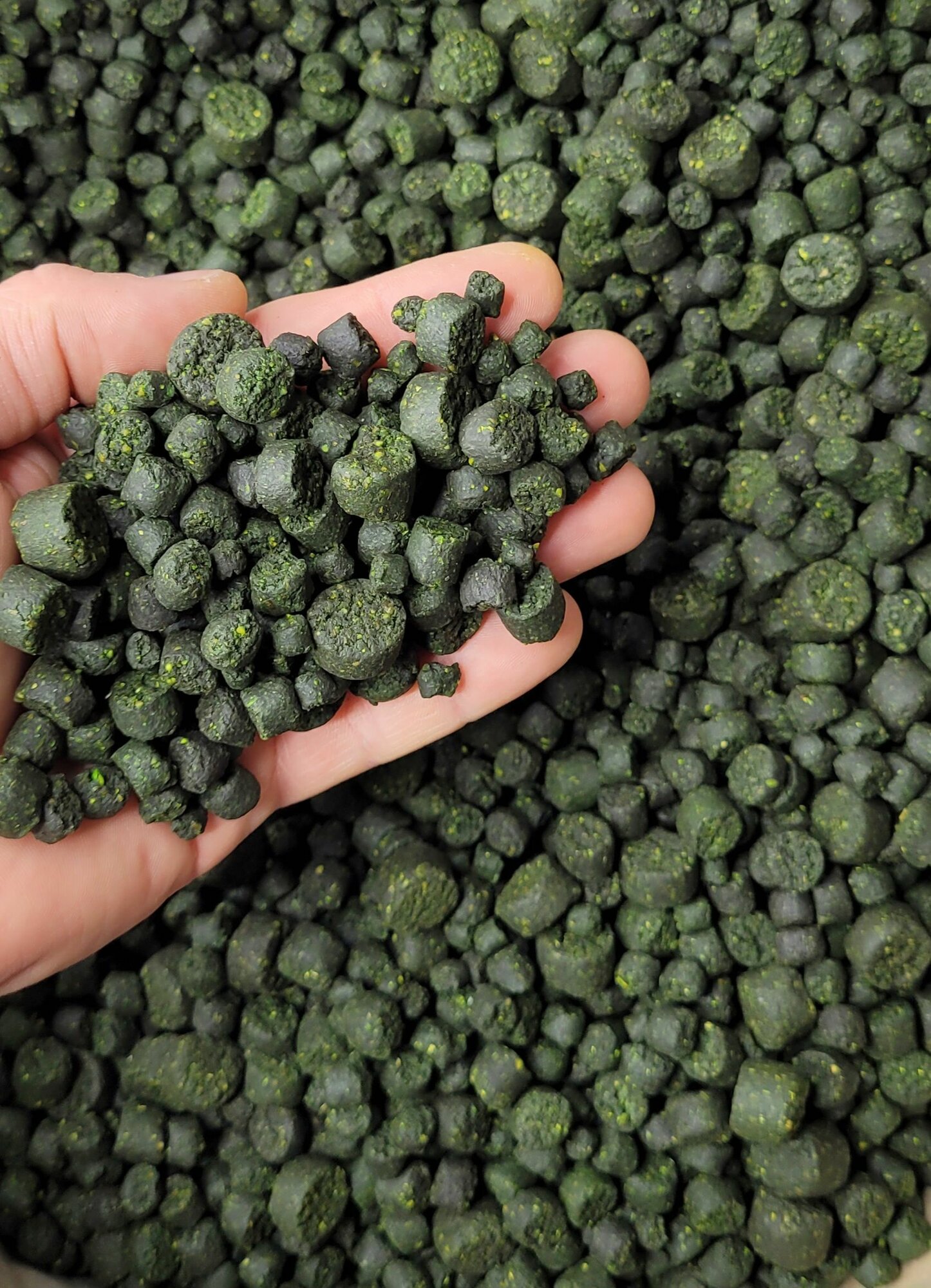 Пеллетс карповый прикормочный GREEN BETAINE грин бетаин 4 размера от 5 до 15 мм 3 кг