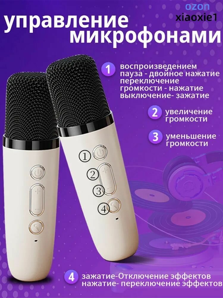 Караоке-система — фото 1
