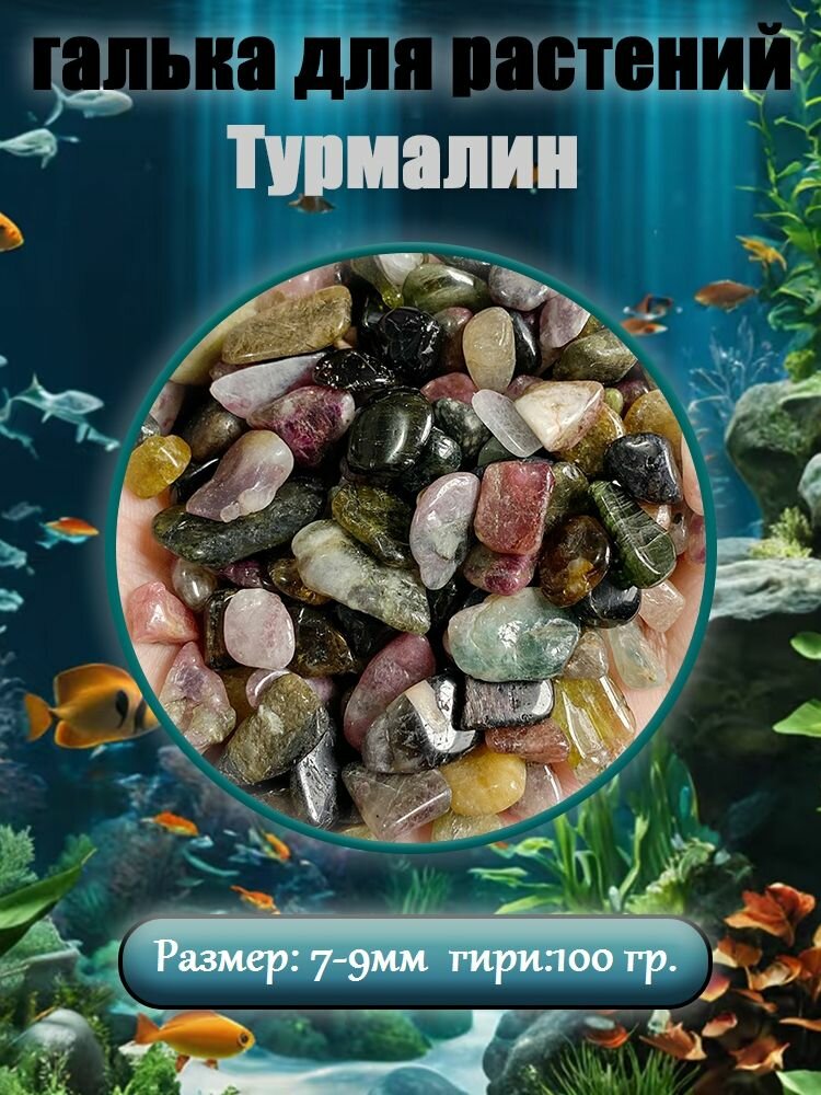 Турмалин Грунт для аквариума и растений , кактуса и суккулентов , Каспийская галька 7-9 мм, 100 гр.
