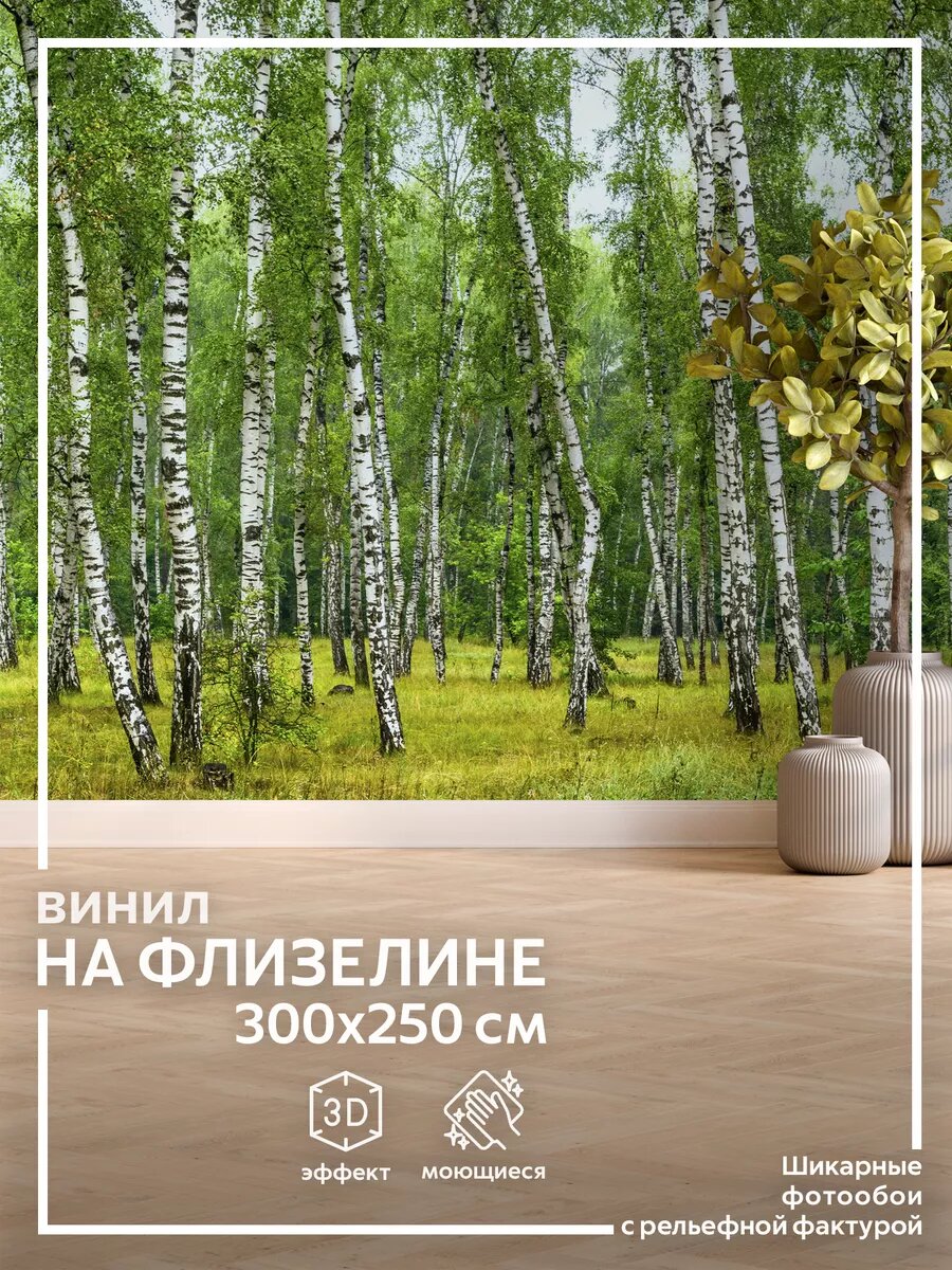 Фотообои Лес Березы Природа в спальню в зал 300х250