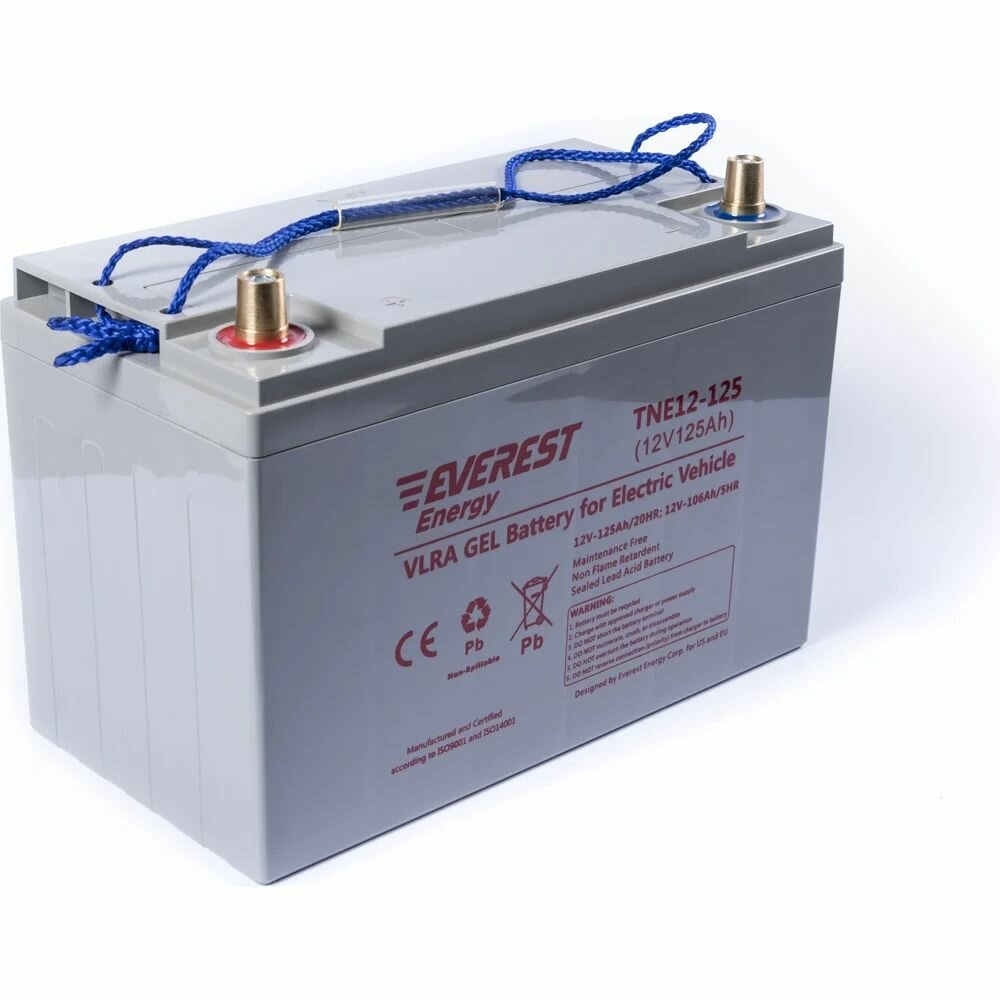 Тяговая аккумуляторная батарея EVEREST Energy TNE 12-125