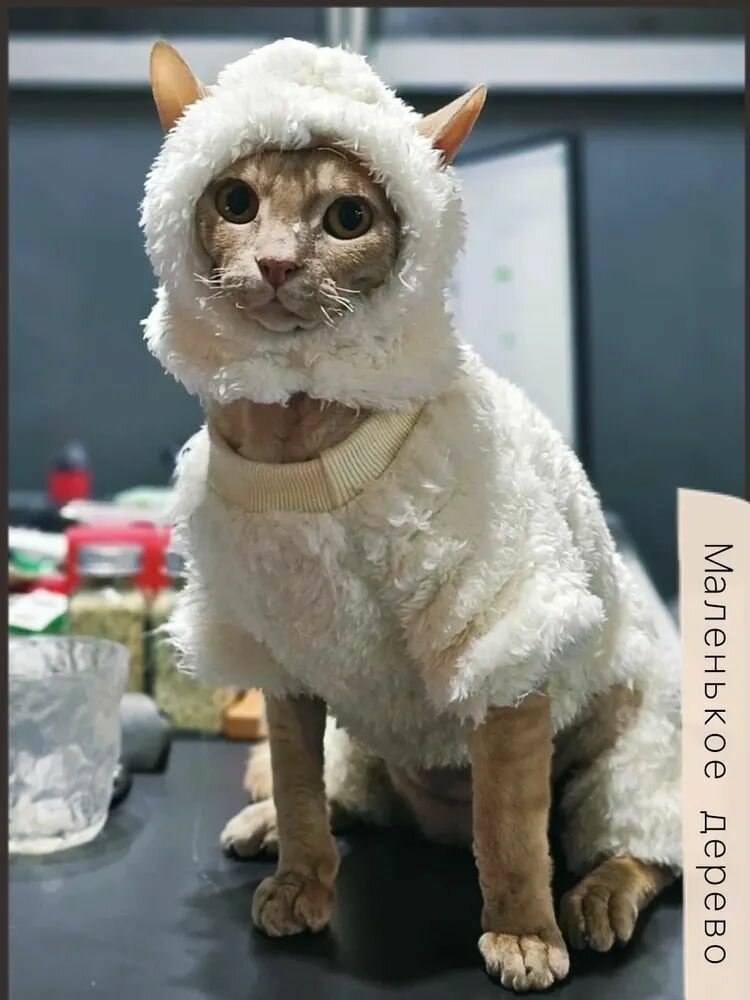 Кошачья пижама "Овечка" - теплый комбинезон для кошек и мелких собак, размер XS(500g-1000g)