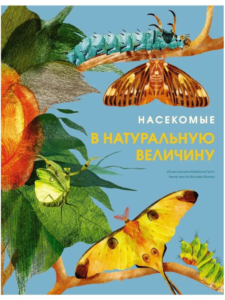 Насекомые в натуральную величину