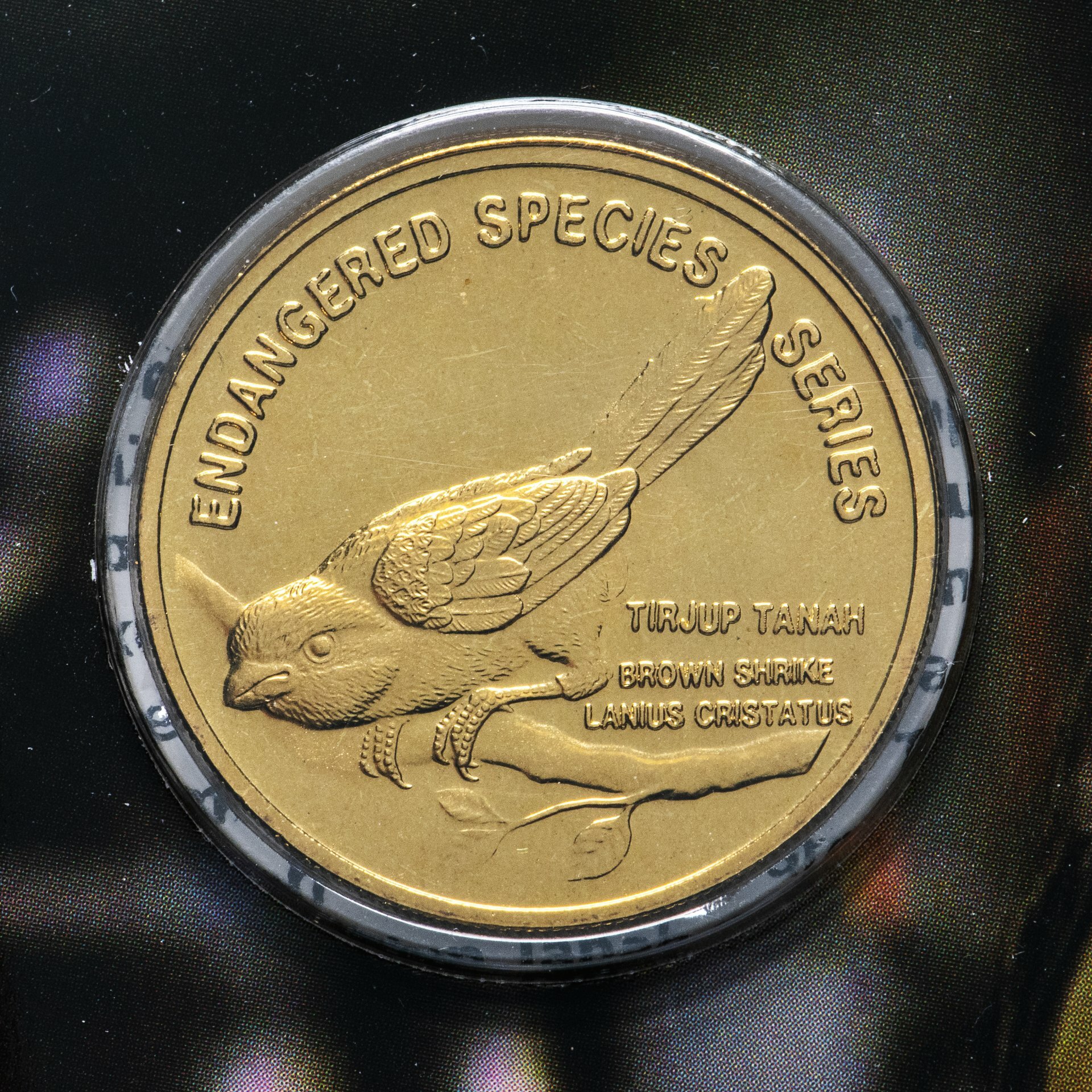 Малайзия 25 сен 2004 Сибирский жулан, Латунь, в сохранности UNC