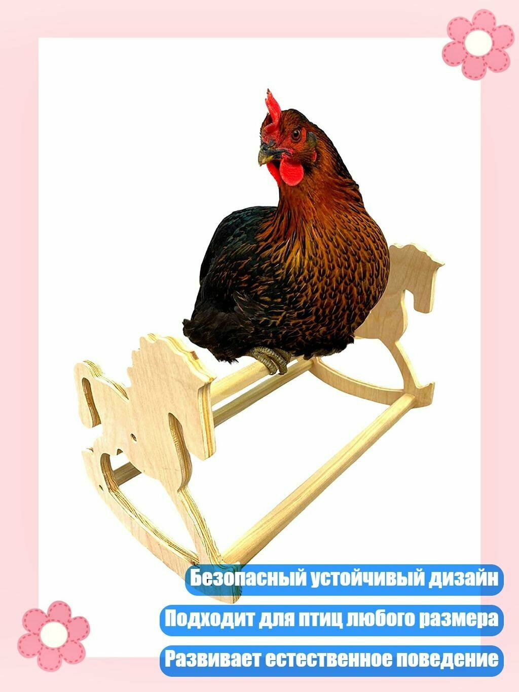 Игрушки для кур и крупных птиц