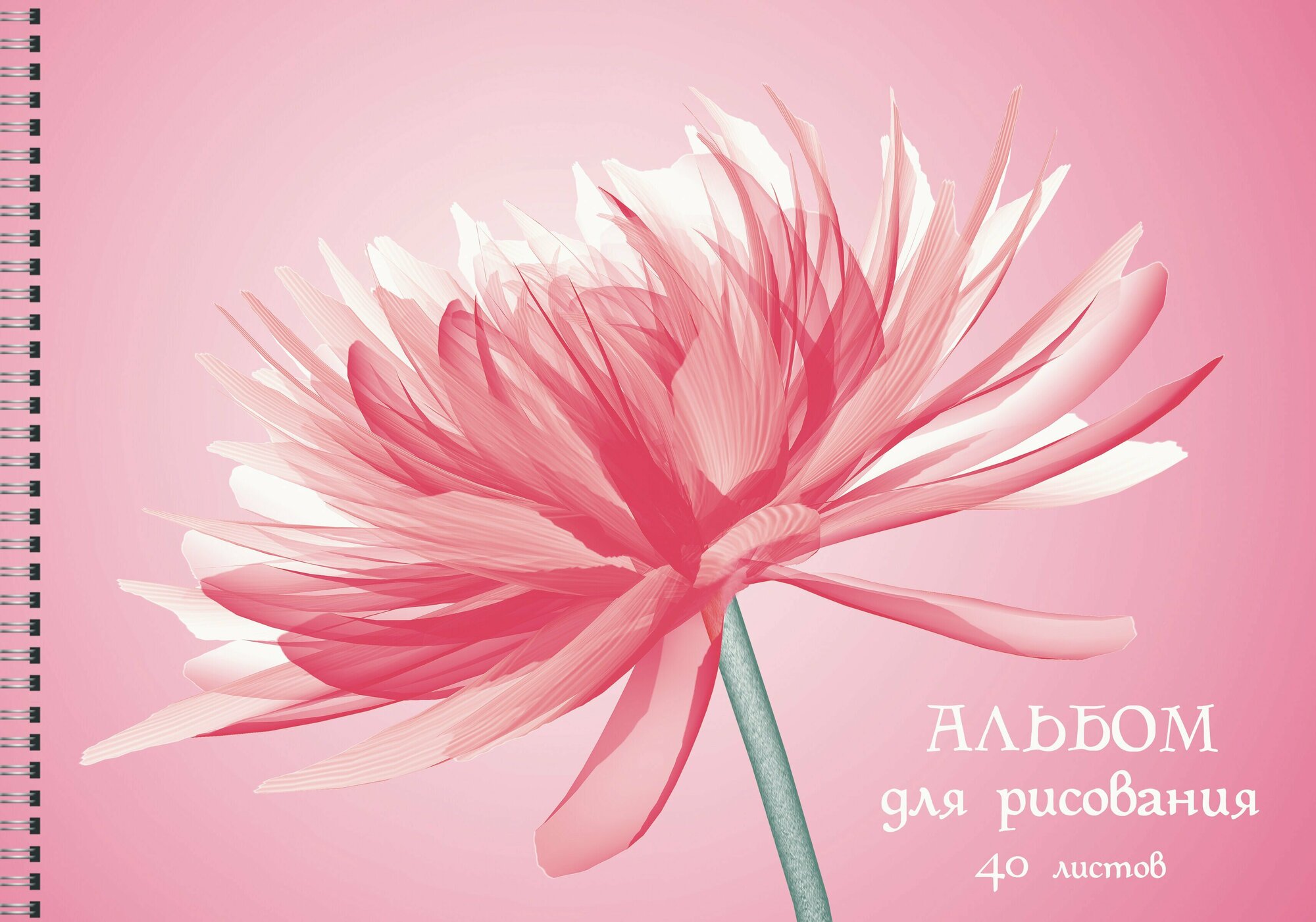Альбомы для рисования Цветочная нежность, А4, 40 листов