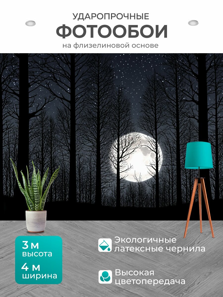 Фотообои моющиеся ударопрочные "Фотообои лес в стиле черно-белый: тонкие силуэты деревьев на фоне яркой луны, с многочисленными звездами на небе," 400x300 см. флизелиновые на стену