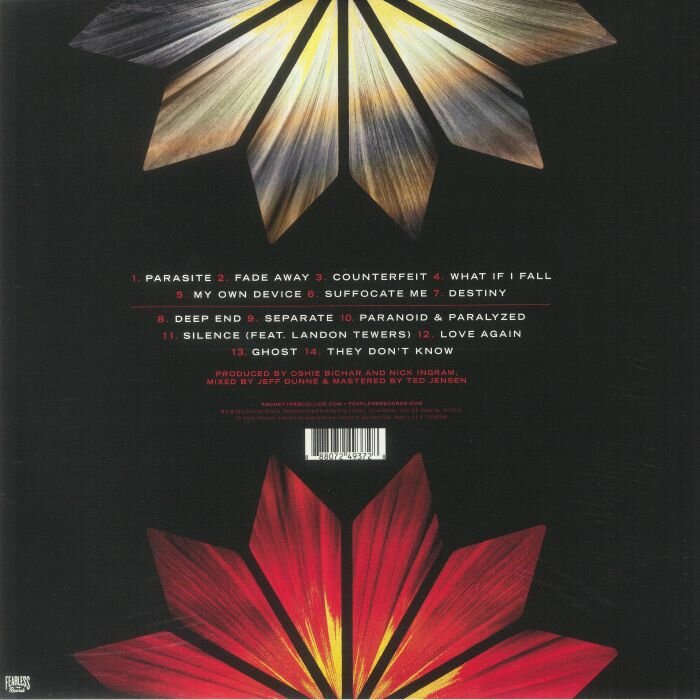 Виниловая пластинка ARCHETYPES COLLIDE - Archetypes Collide (mint, not sealed, marbled vinyl LP) LP Винил — фото 1