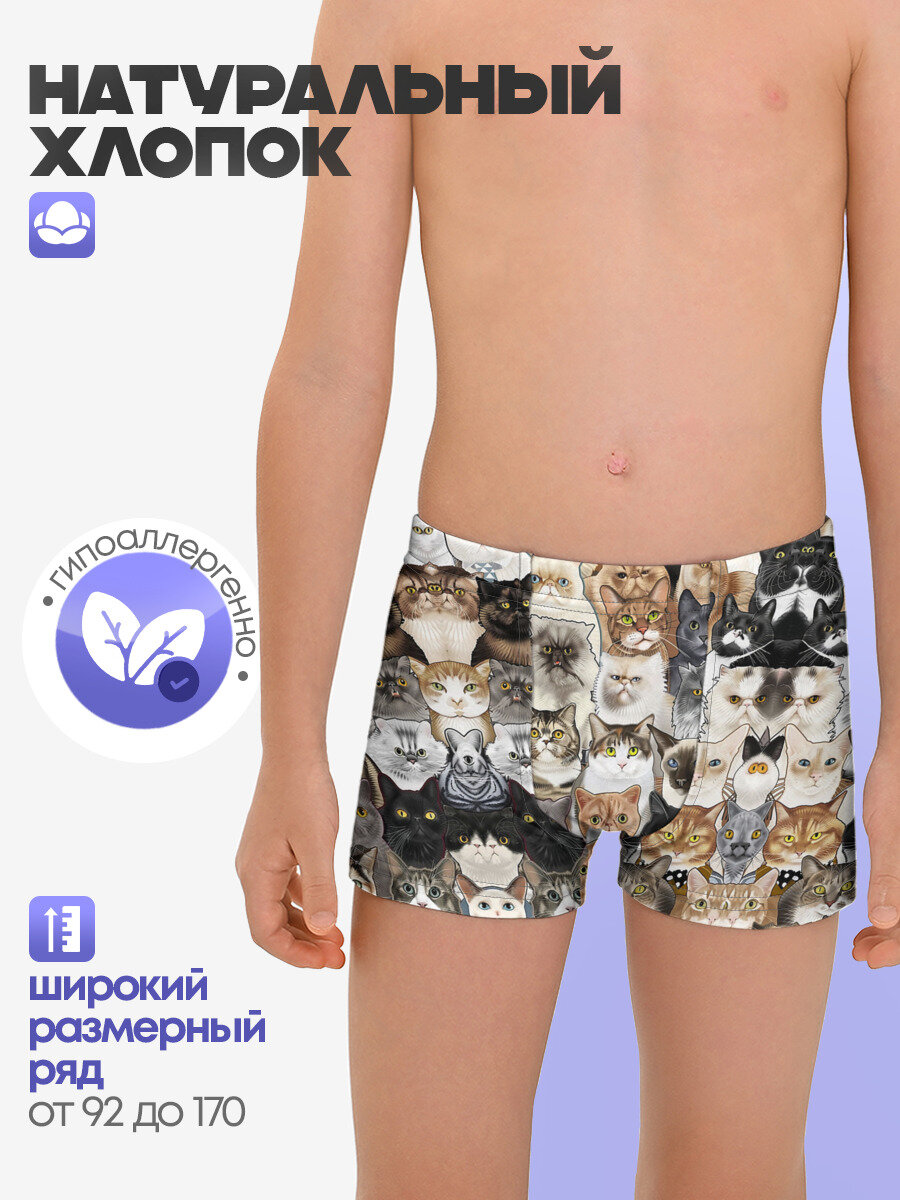 Трусы Коты и кошки