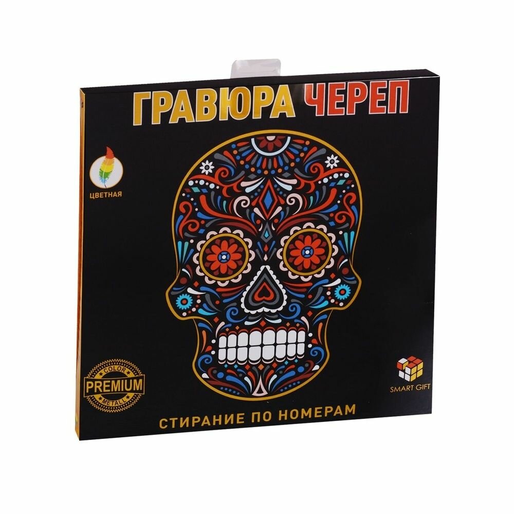 Гравюра Умный подарок Череп. Стирание по номерам. Цветная