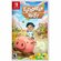 Everdream Valley Nintendo Switch