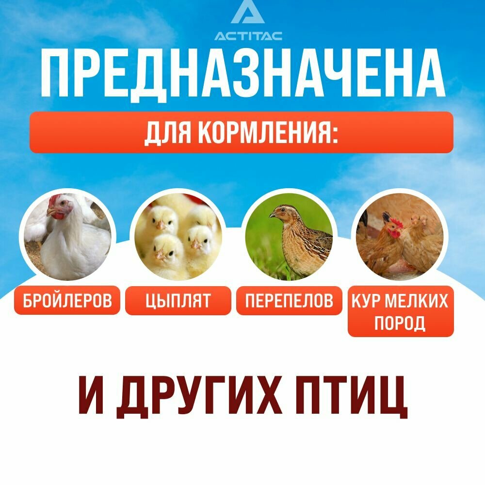 Лотковая кормушка