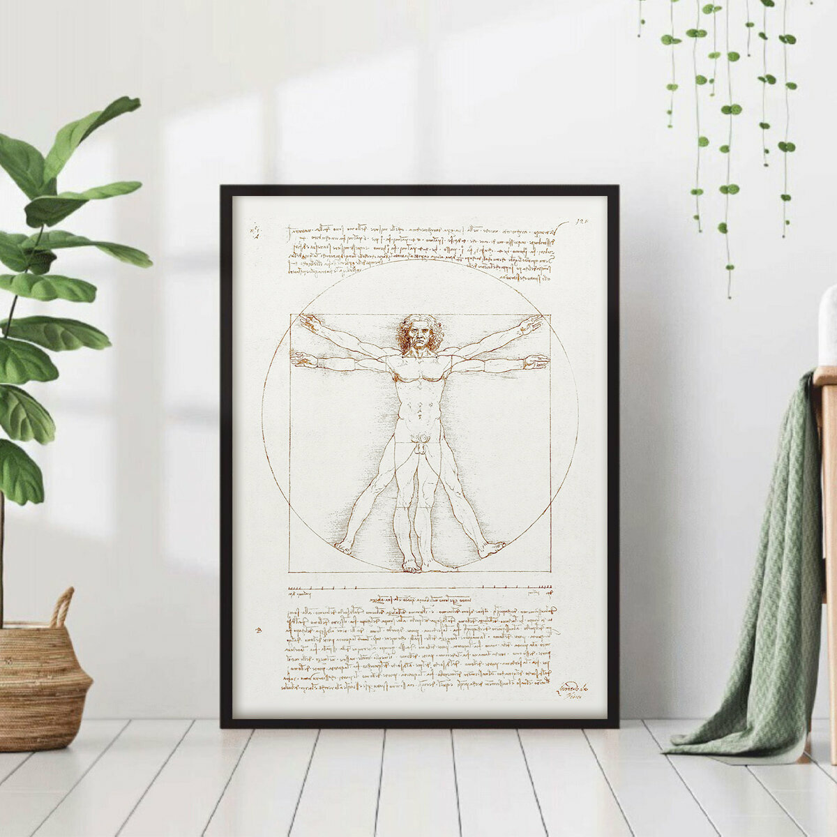 Постер " Витрувианский человек да Винчи репродукция" 50x70 в черной рамке для интерьера на стену