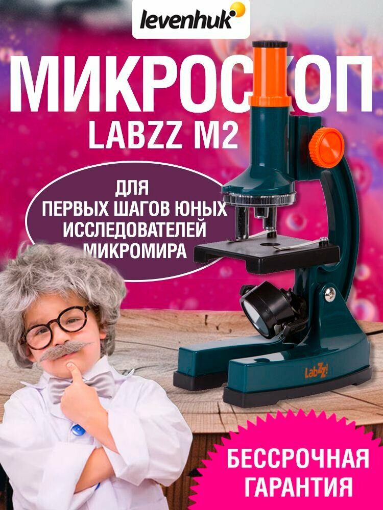 Микроскоп Levenhuk LabZZ M2 детский с набором для исследований