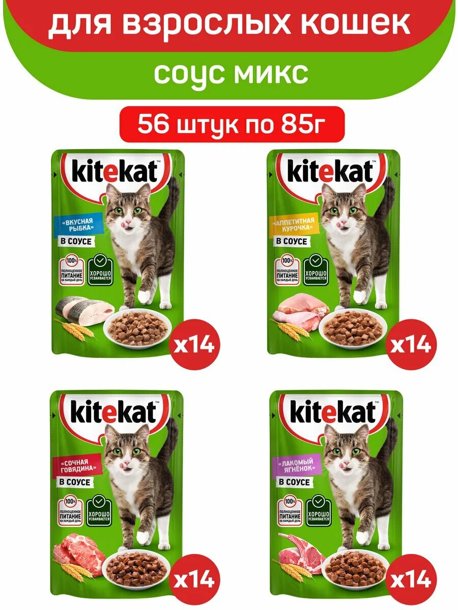 Влажный полнорационный корм KITEKAT для взрослых кошек, кусочки в соусе: говядина, курица, рыба, ягненок, 56 шт по 85 г