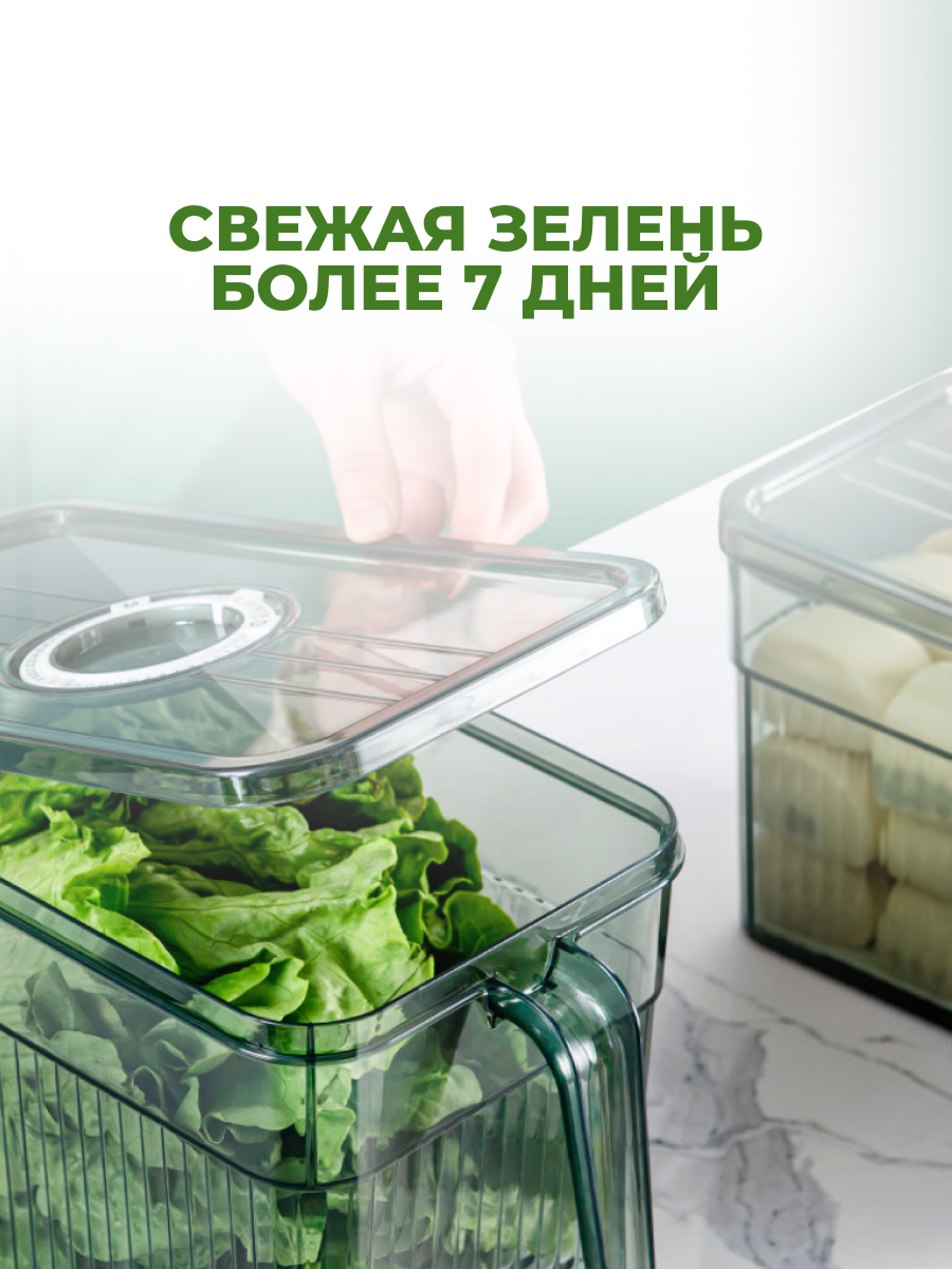 Пластиковый контейнер Shanly для хранения овощей в холодильнике