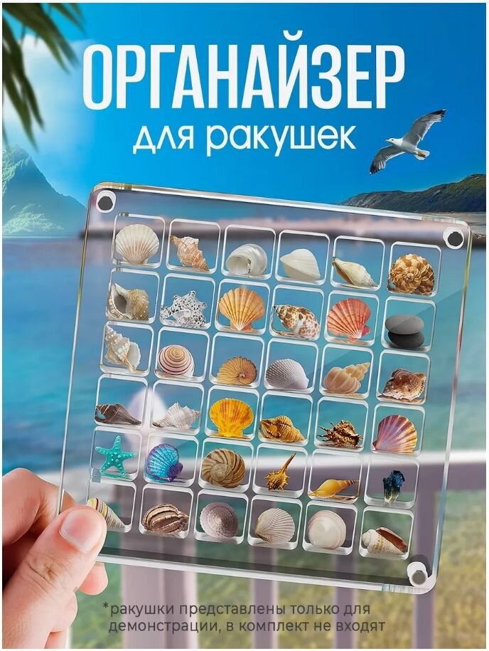 Прозрачная шкатулка-ракушка на магнитах, 36 ячеек для украшений, ракушек и страз, органайзер для дома и путешествий 12,5 см