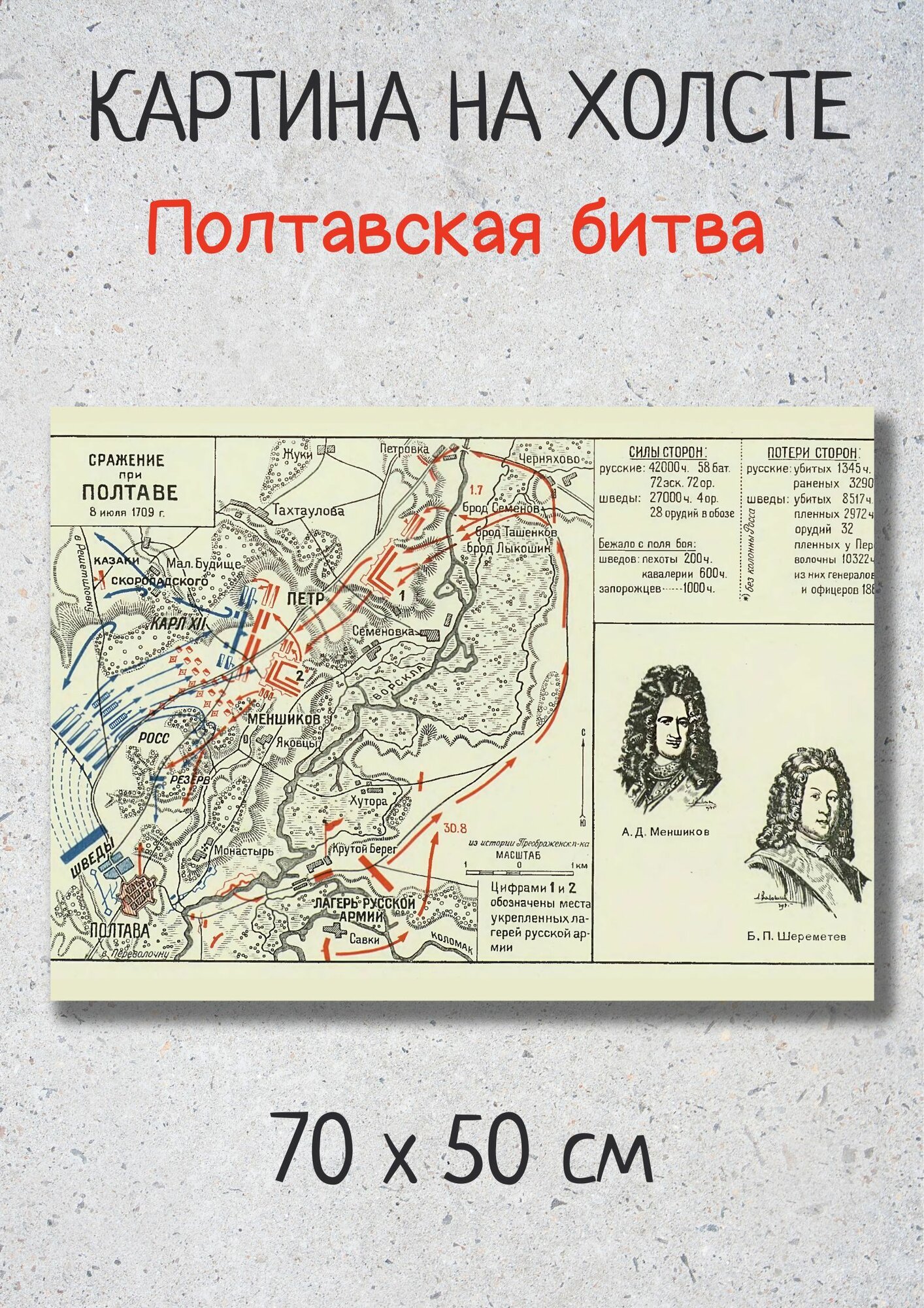 Картина с исторической схемой "Полтавская битва" 70х50 см