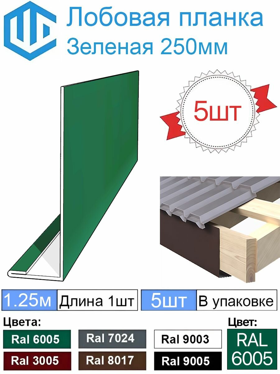 Лобовая планка кровли (250мм) Ral 6005 ( 5 шт ) 1.25м
