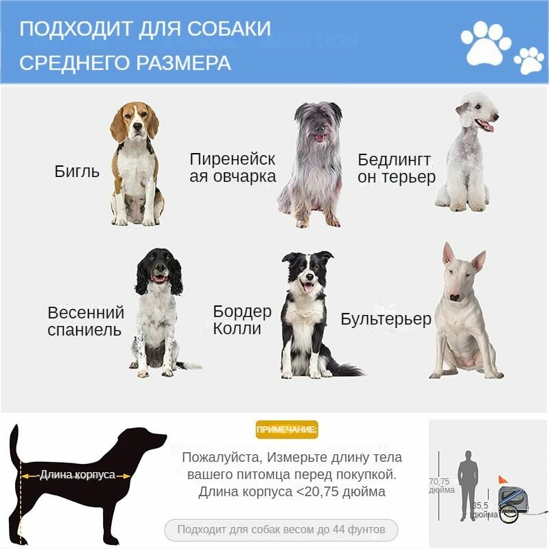 Автобокс для животных — фото 1