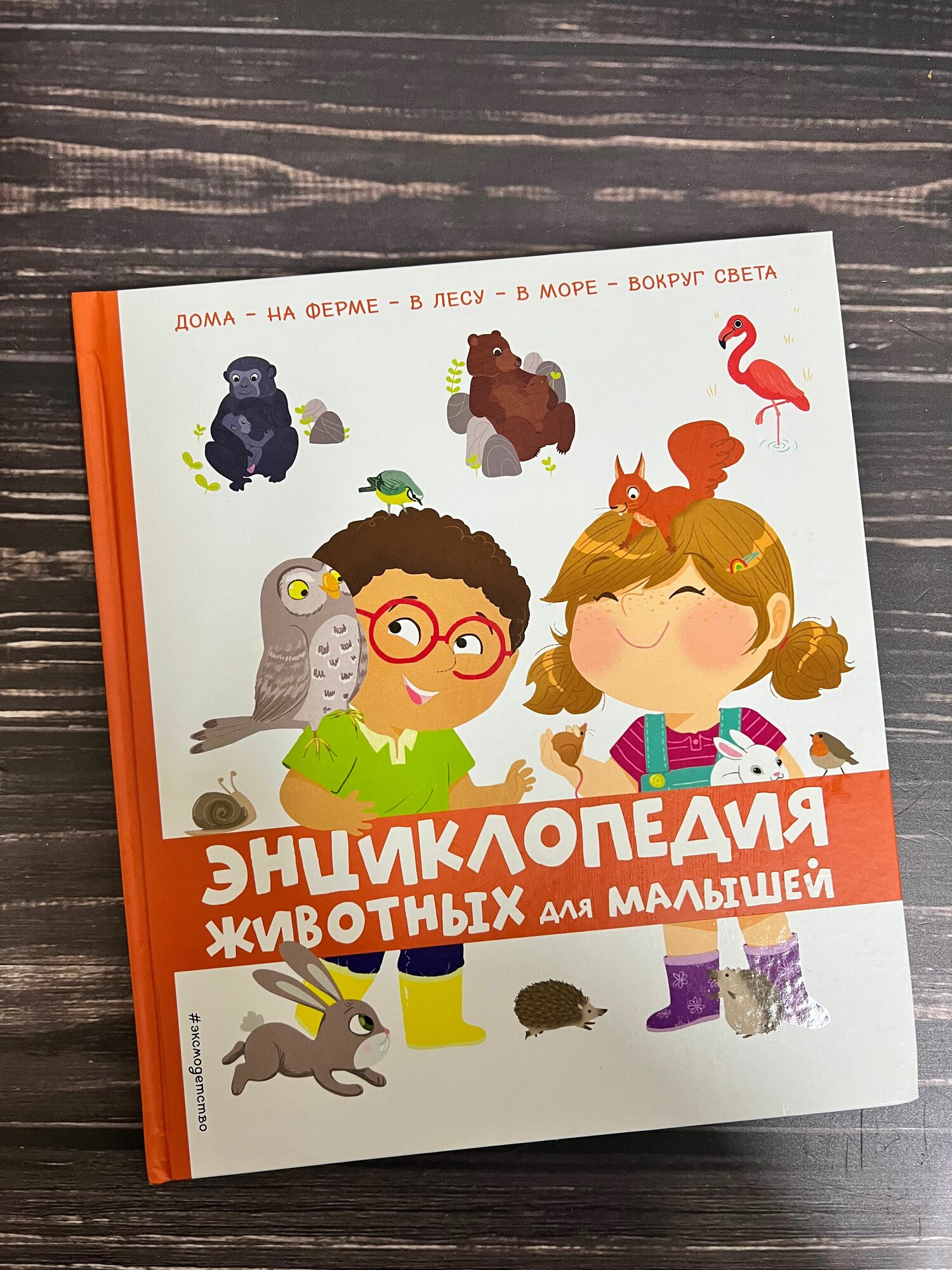Энциклопедия животных для малышей
