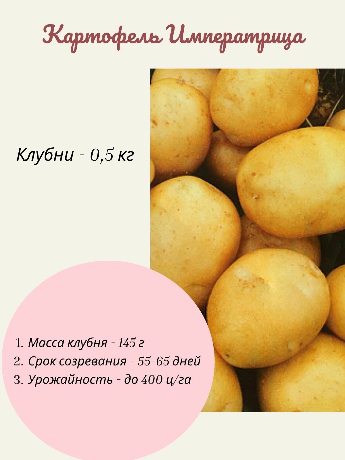 Картофель белый Императрица 0,5 кг на посадку