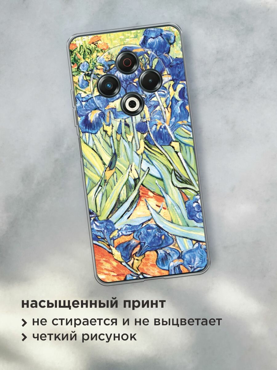 Чехол на Tecno Spark 30 / Текно Спарк 30 с принтом "Ирисы Ван Гог" — фото 1
