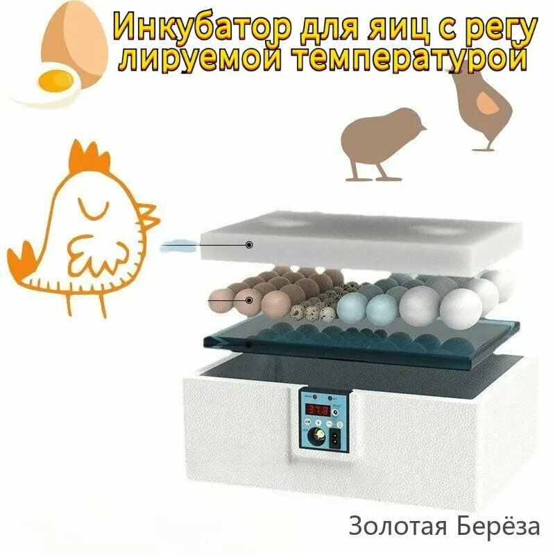 Инкубатор для яиц