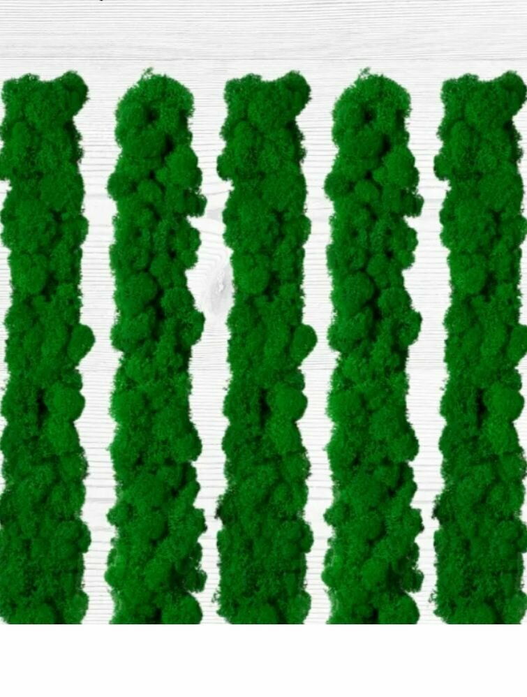 Лента мох натуральный Ягель самоклейка 3 шт, разм.5 *50