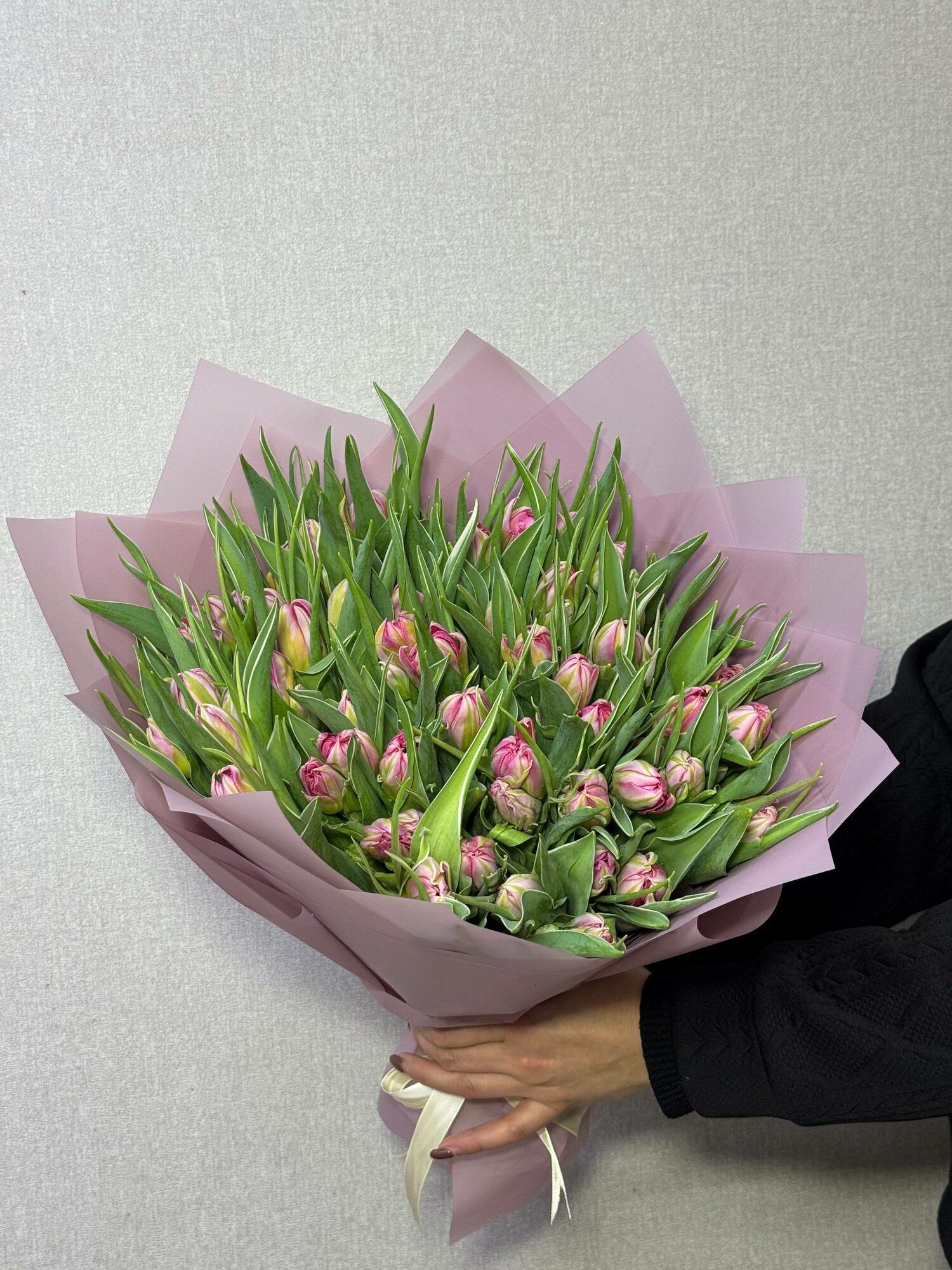 Букет из живых цветов FRESH FLORA тюльпаны 49 штук, монобукет