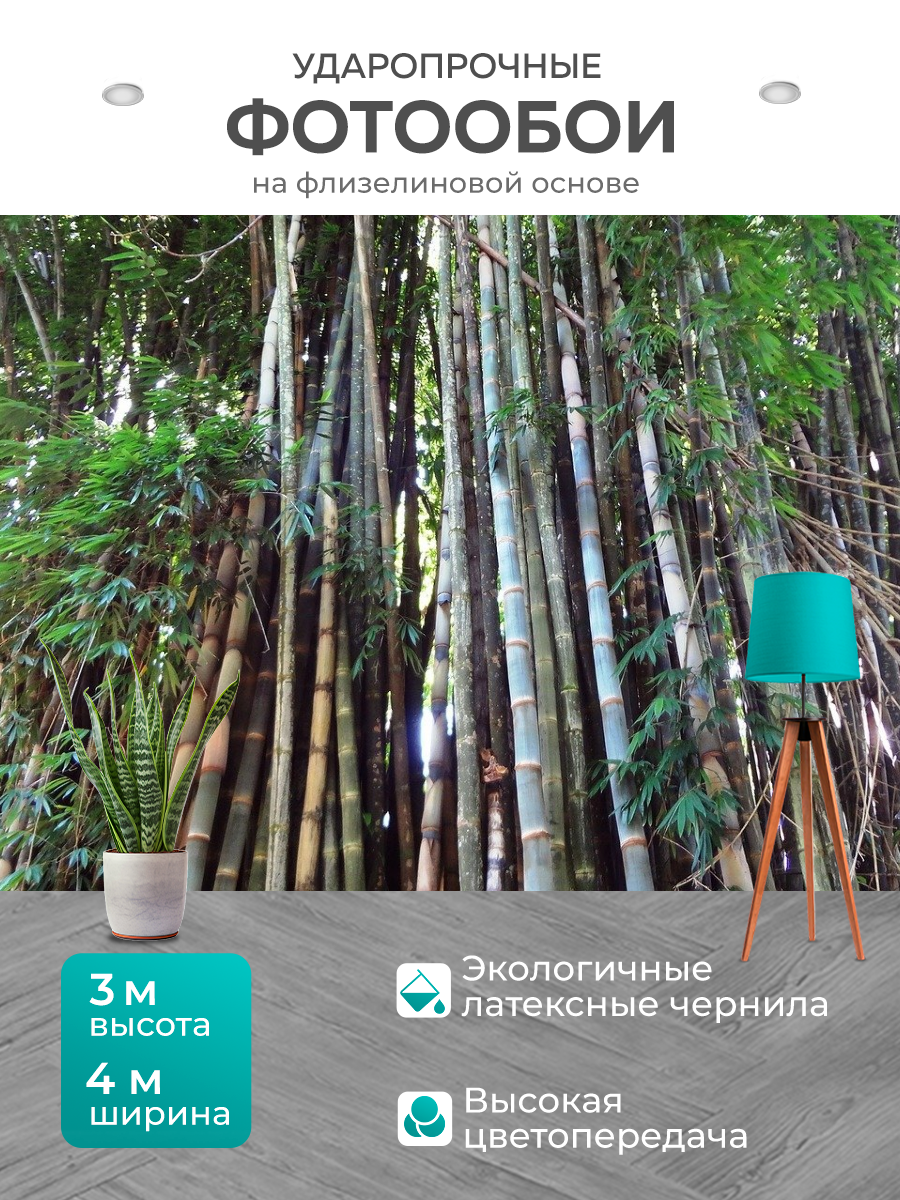 Фотообои моющиеся ударопрочные "Бамбук, бамбуковая роща" 400x300 см. флизелиновые на стену