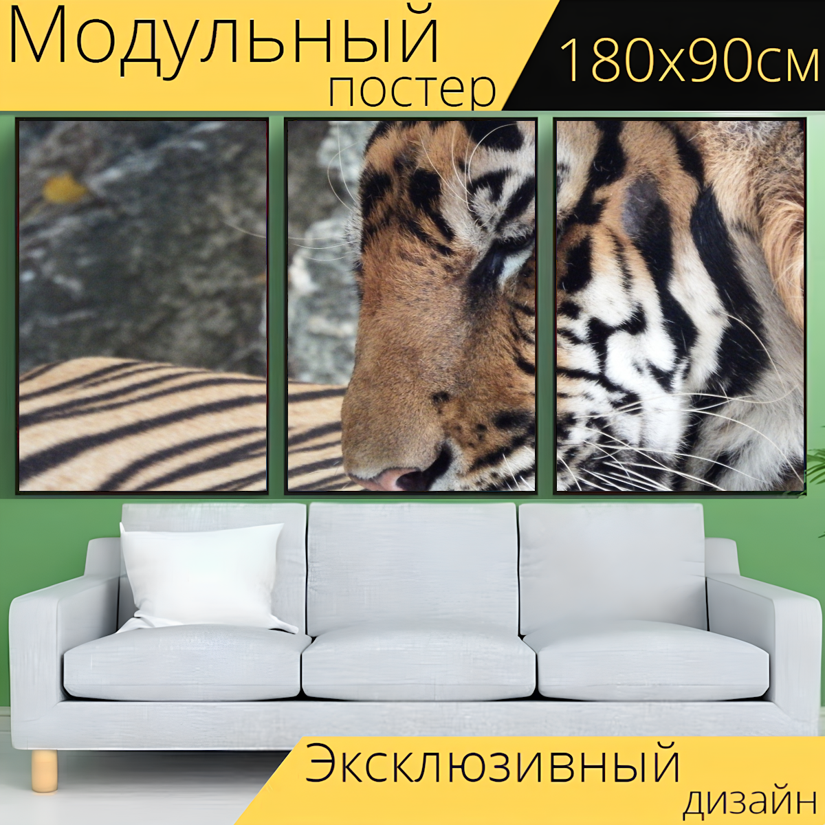 Модульный постер "Спящая тигр Спящая тигр тигр спать отдых крупным планом кожа мех лицо глаза дикий зоопарк животные Африка африканский" 180 x 90 см. для интерьера на стену в тубусе
