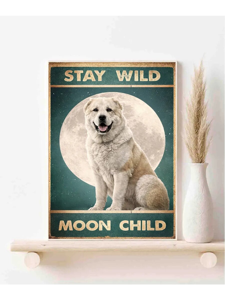 Среднеазиатская овчарка алабай , Stay Wild Moon Child, Плак