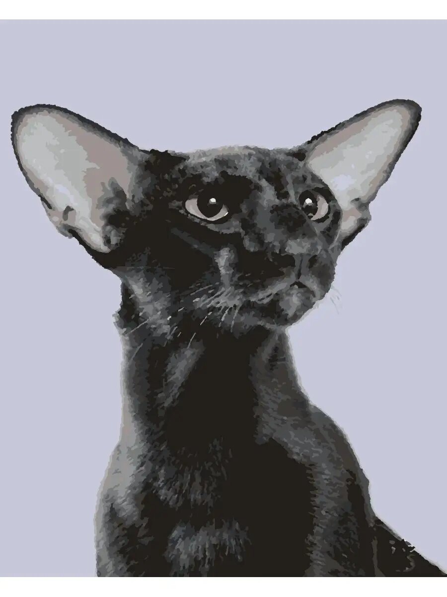 Картина по номерам "Ориентал" на холсте 40 х 50 см