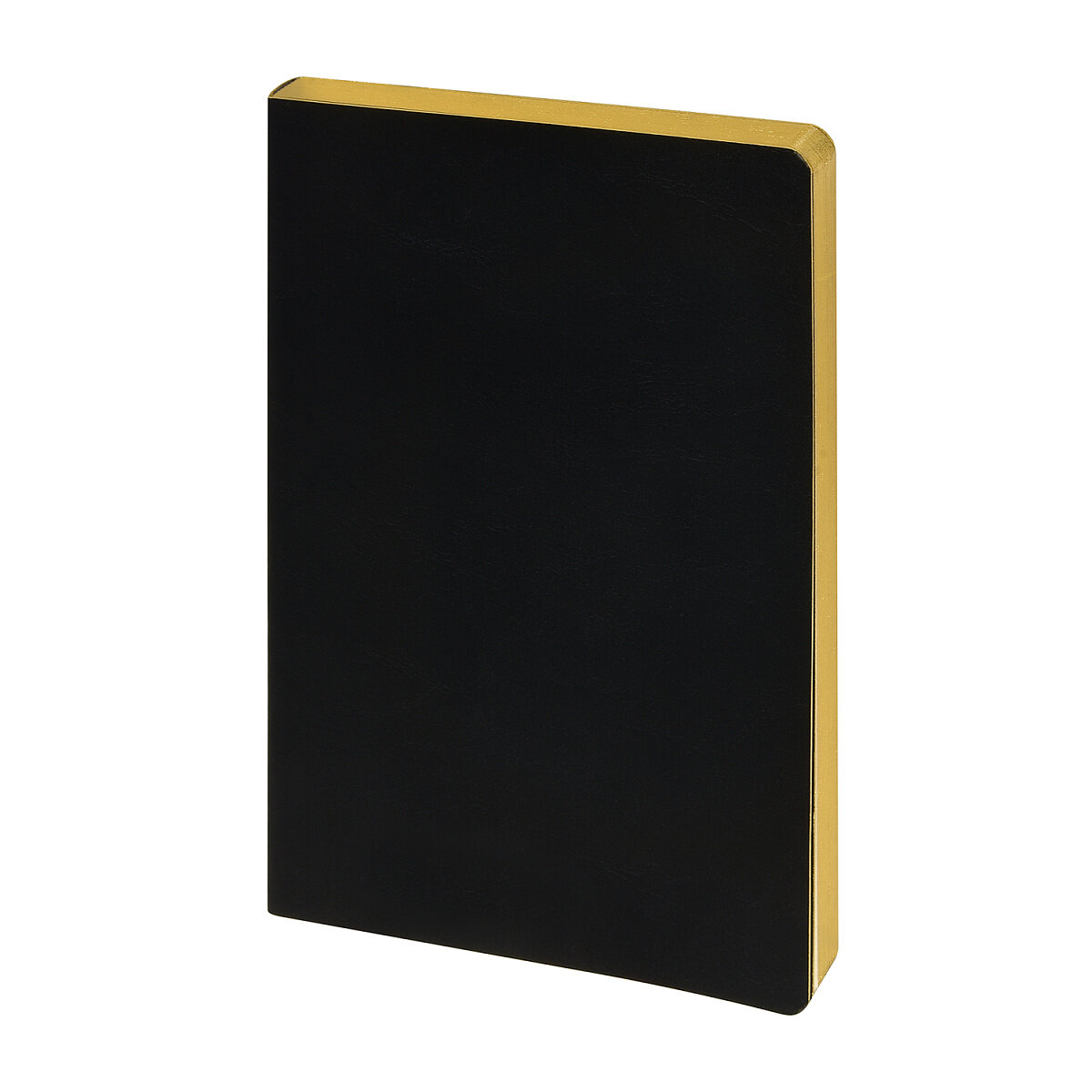 Ежедневник недатированный А5 (140 х 210 мм) "MEGAPOLIS FLEX NEBRASKA" (черный) золотой обрез