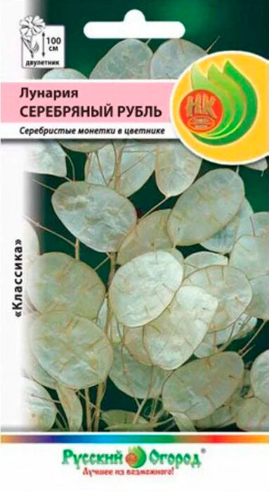 Семена лунарии "Серебряный рубль" 10 упаковок по 0,2 гр - наслаждайтесь их красотой и ароматом.
