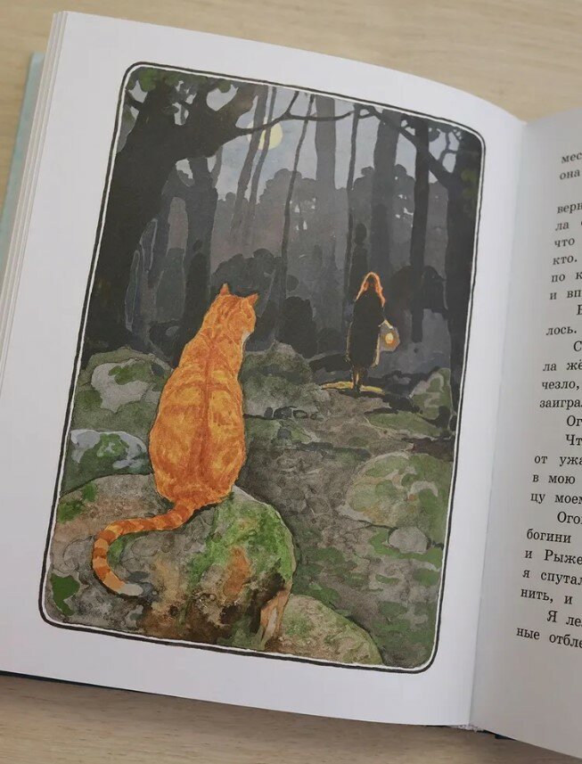 Книга "Томасина" Лабиринт, 2021 год, иллюстрации Натальи Демидовой — фото 1