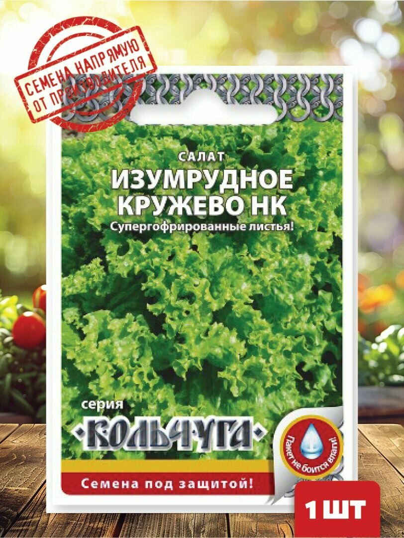 Салат Изумрудное кружево НК, листовой
