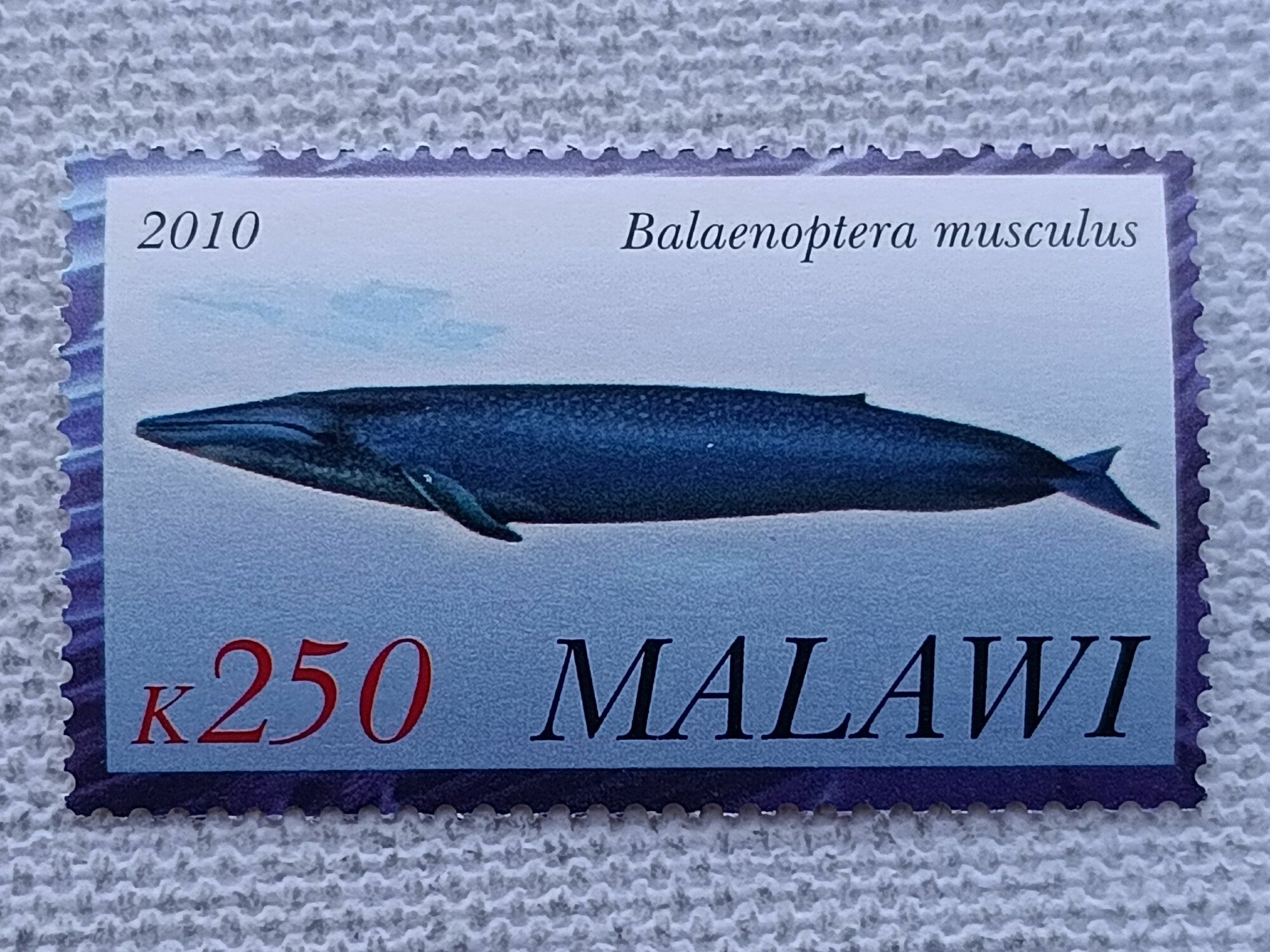 Малави марка "Синий кит" 2010 год