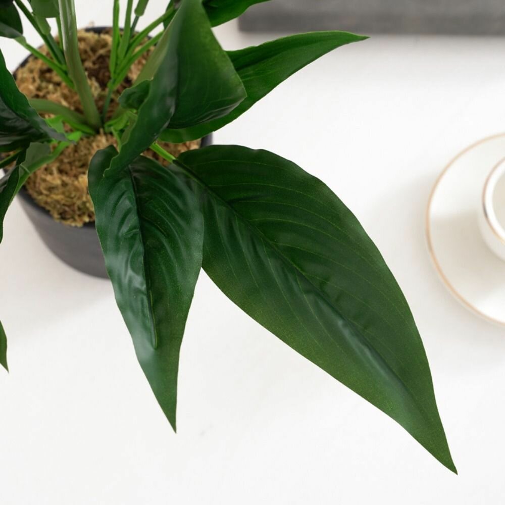 Тропические искусственные растения антуриума