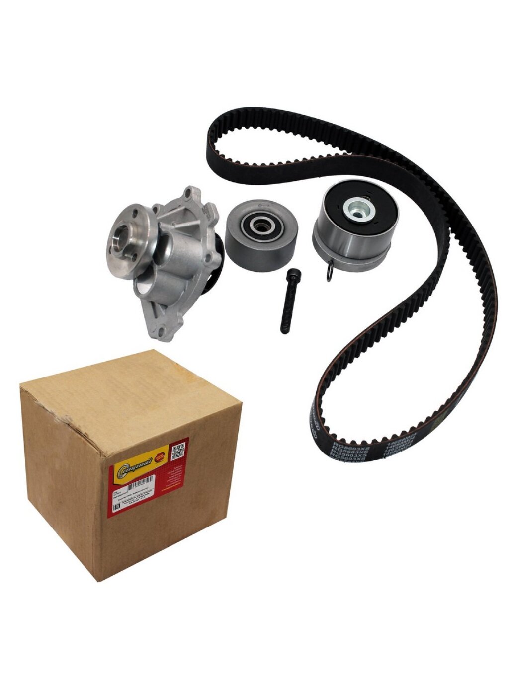 Комплект ГРМ с водяным насосом Riginal RG530045010KIT