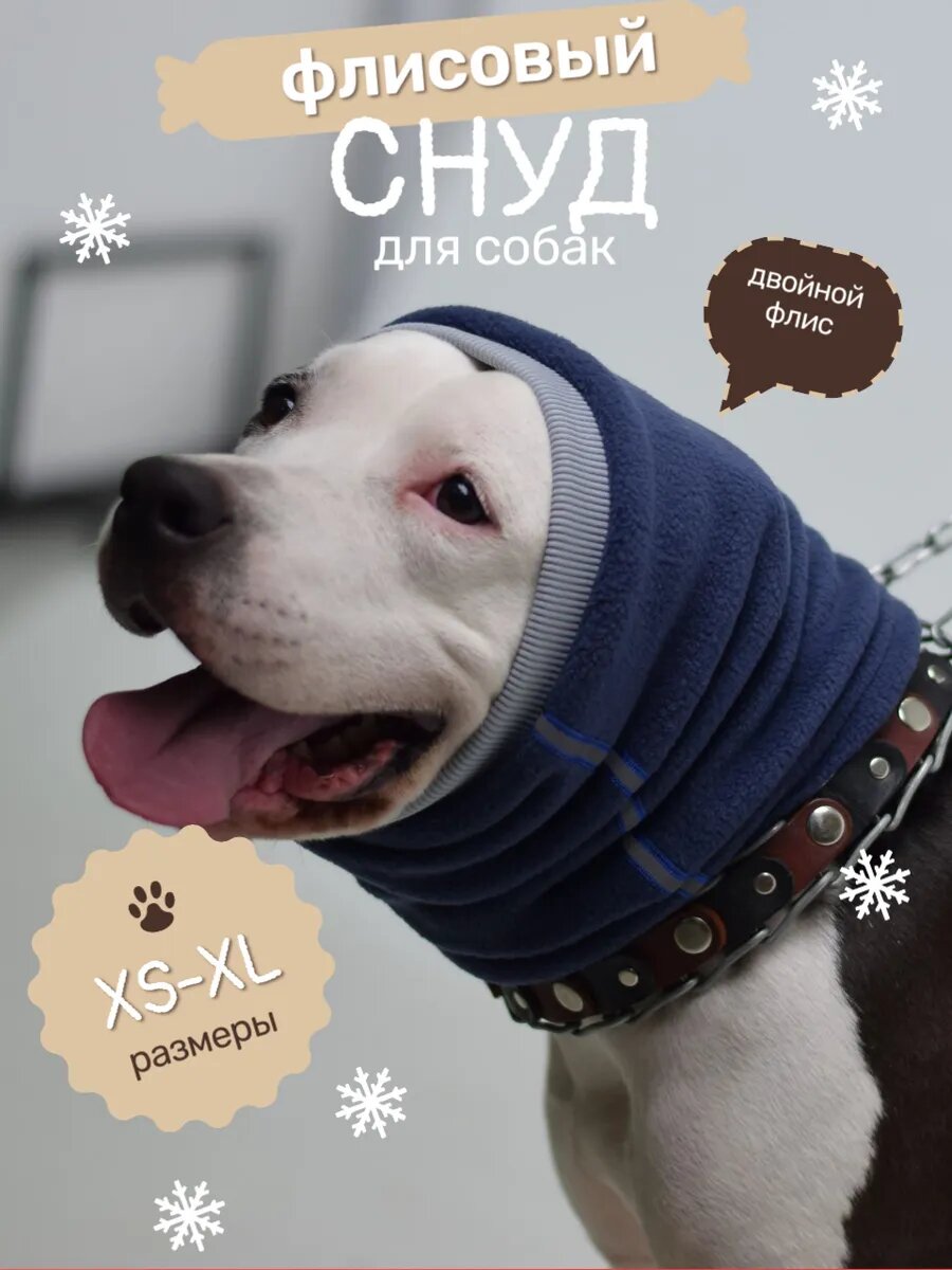 Снуд, капор для собак