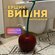 Ершик для унитаза