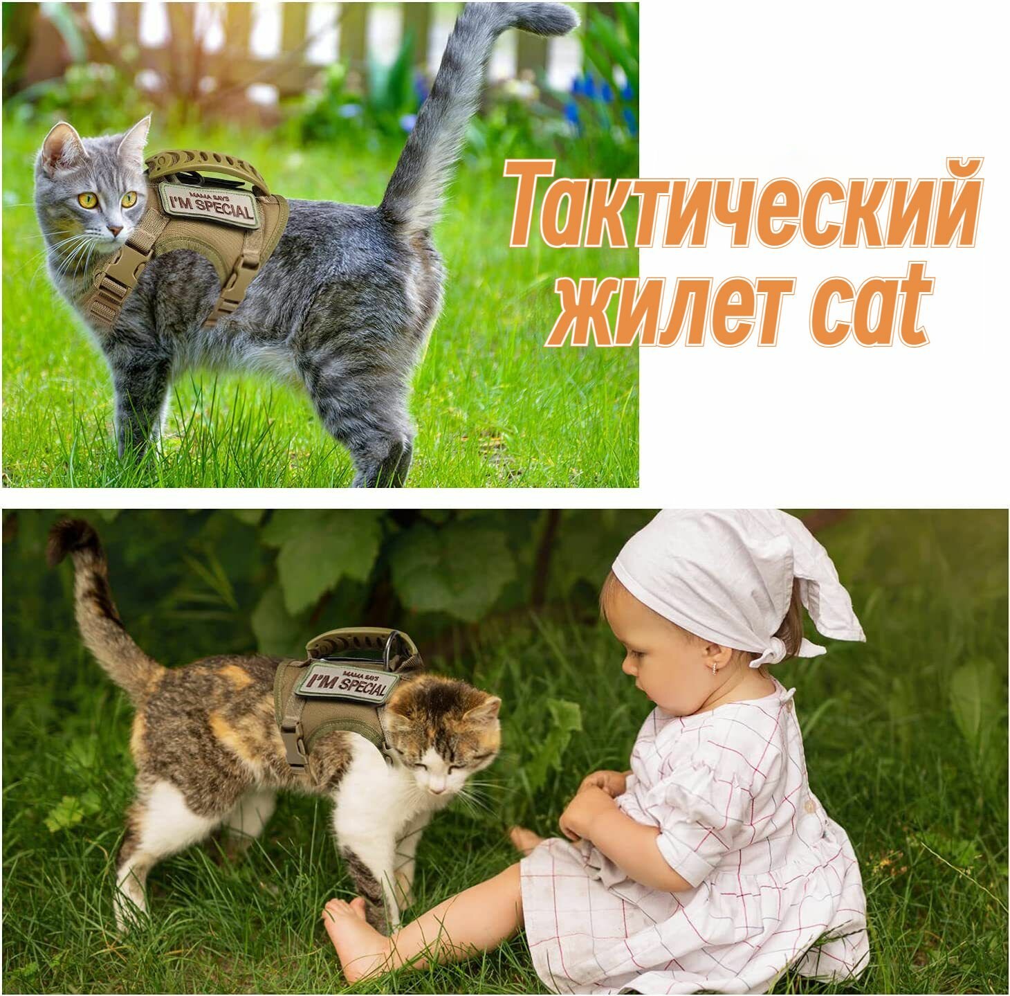 Шлейка — фото 1