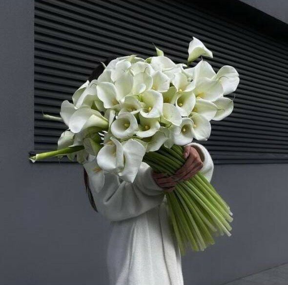 Большой букет из 69 белых калл. Белые каллы для любимой девушки, женщины. Букет на свадьбу