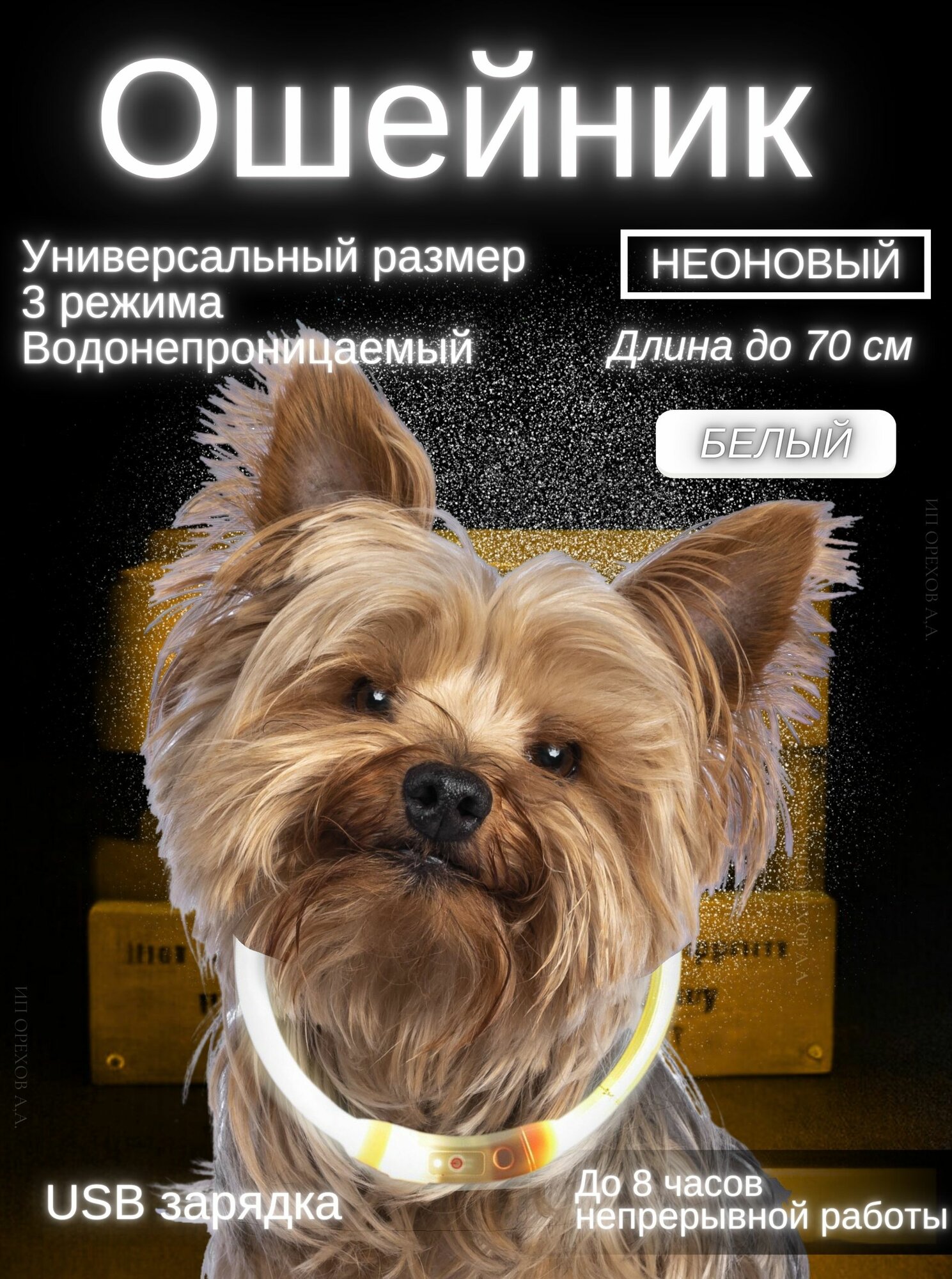 Светящийся ошейник для собак, регулируемый размер, Белый