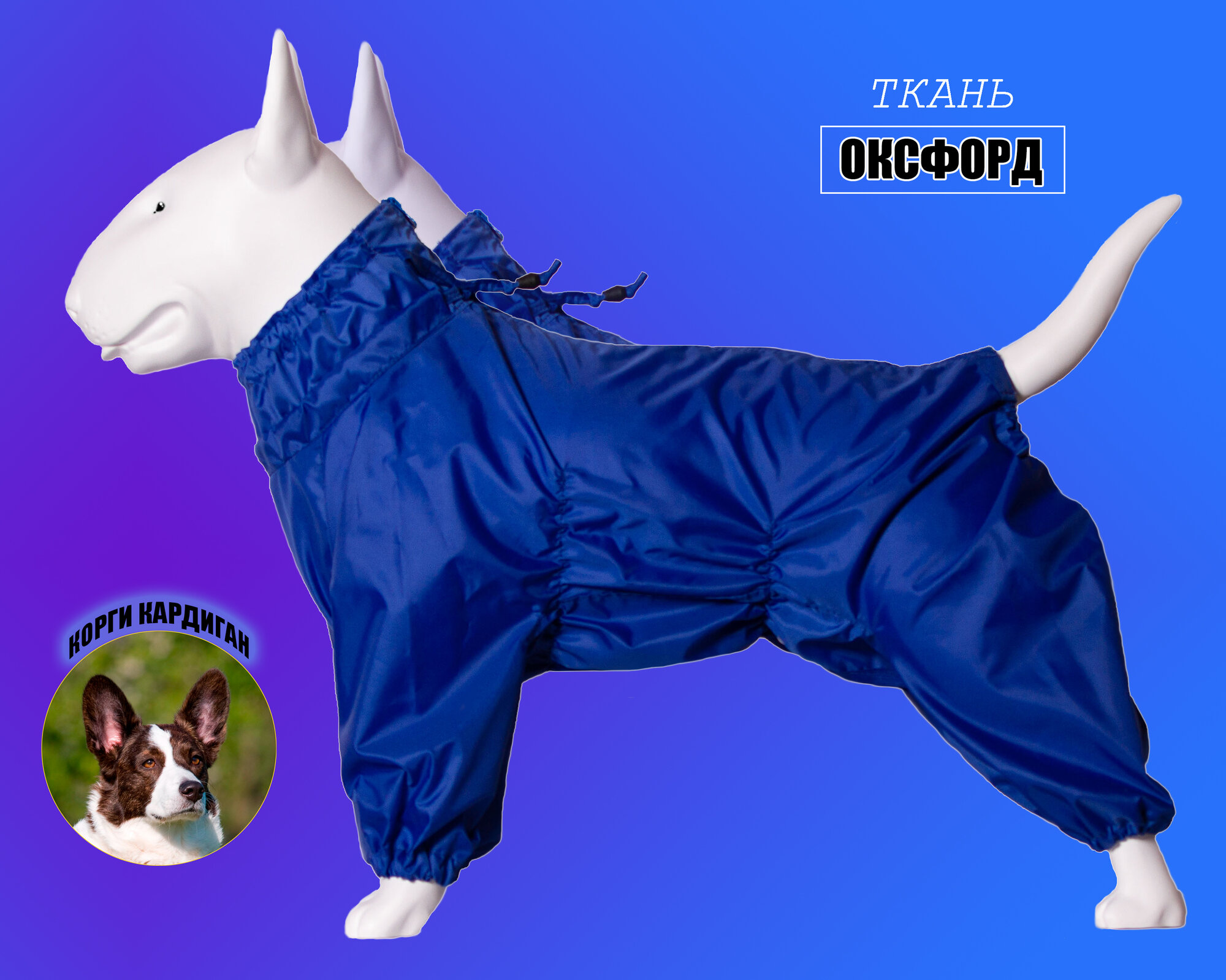 Комбинезон-дождевик для вельш-корги кардигана кобеля, повышенной прочности, цвет василек