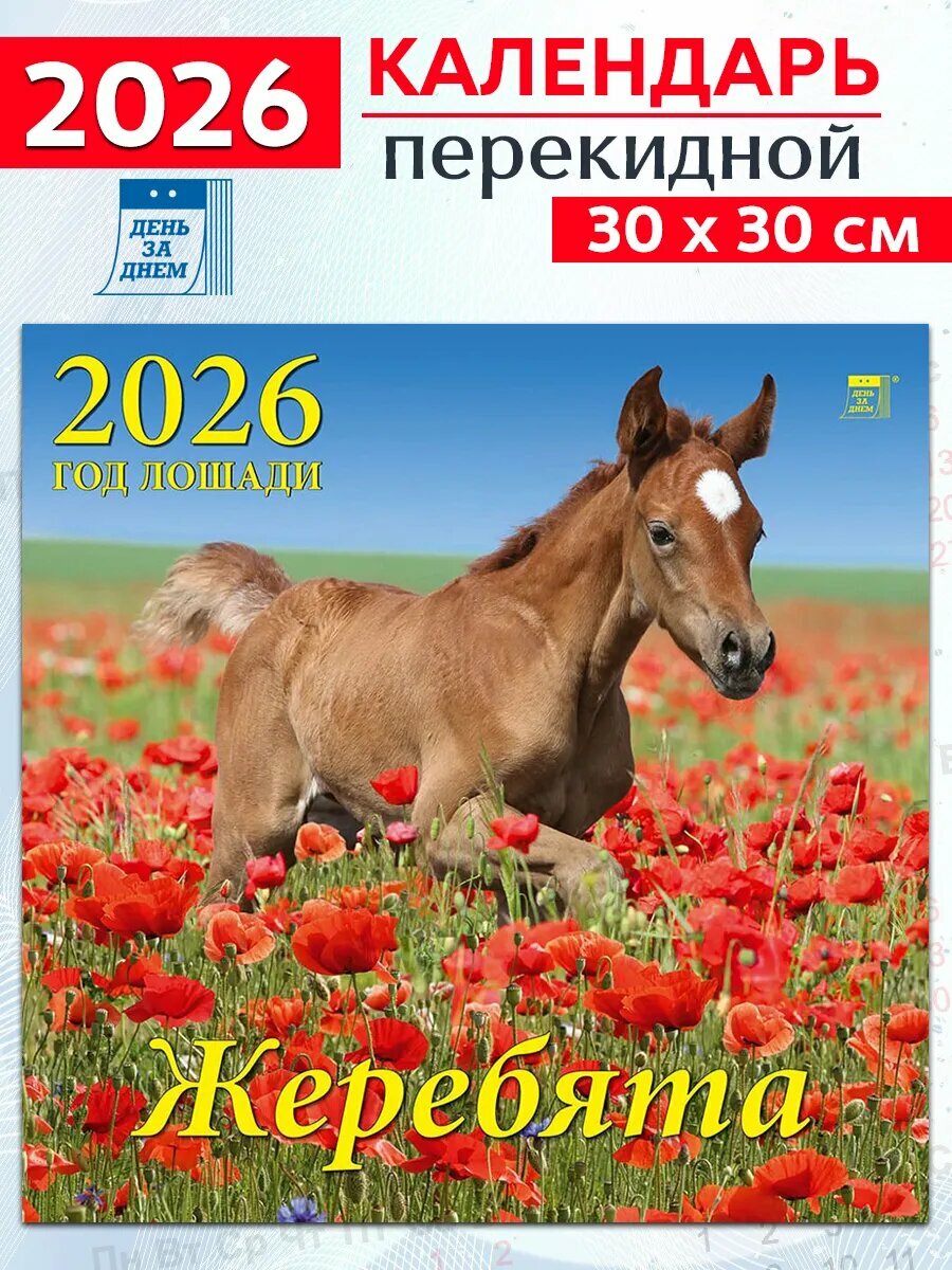 День за днем Календарь на 2026 год: "Год лошади. Жеребята" 30х30 см